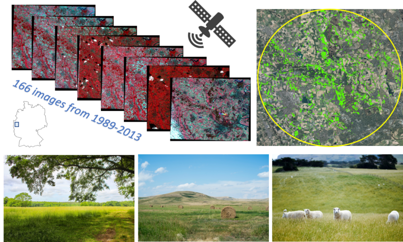 Informing Effects Modeling Using Historic Changes in Habitat Derived from Remote Sensing ...